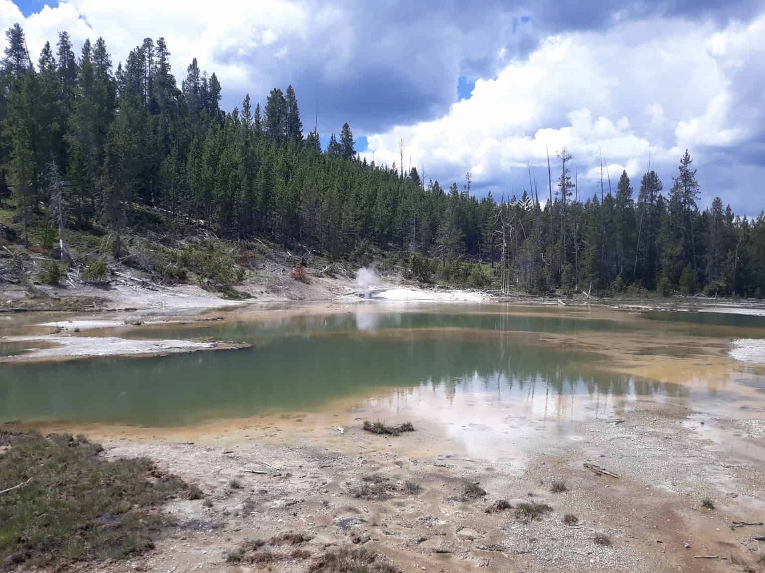 Guide to the Norris Geyser Basin Trail in Yellowstone National Park