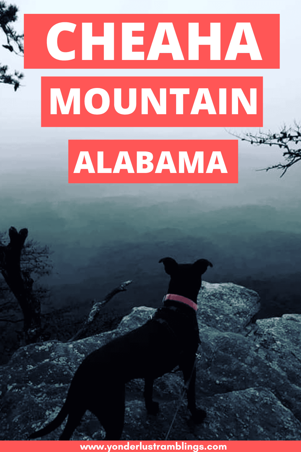 Hiking Cheaha Mountain: The Highest Point in Alabama