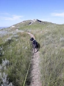 Hiking White Butte: The Highest Point in North Dakota