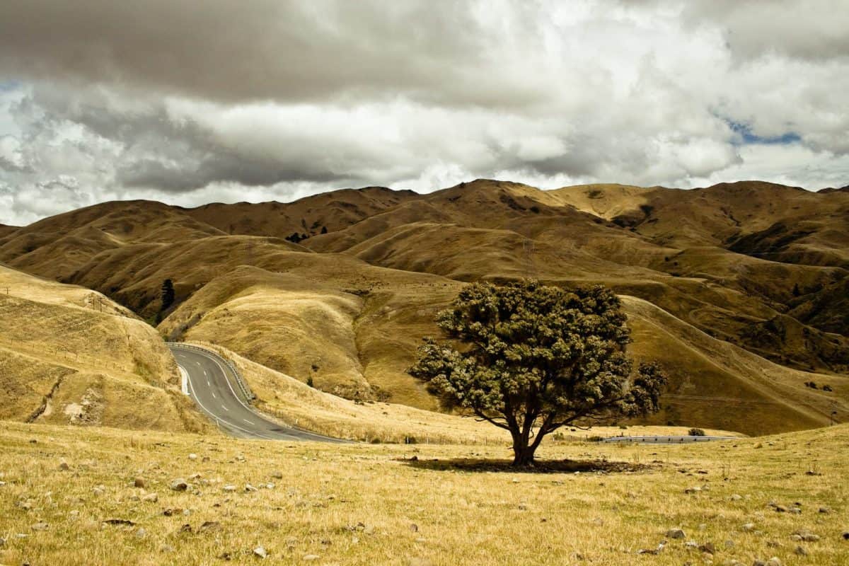 Running Uphill: How to Confidently Conquer Running Hills in 7 Steps