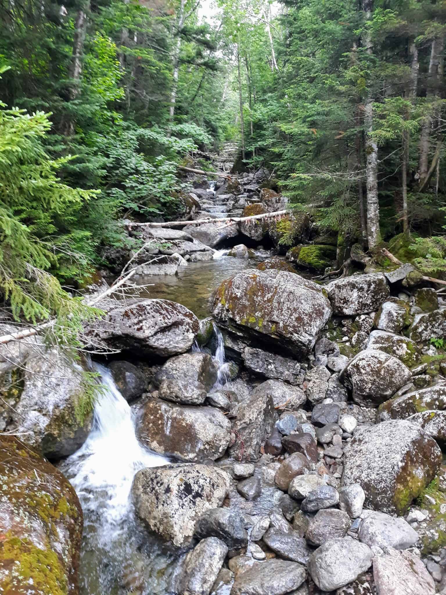 Hiking Mount Marcy New York: The Highest Point in New York