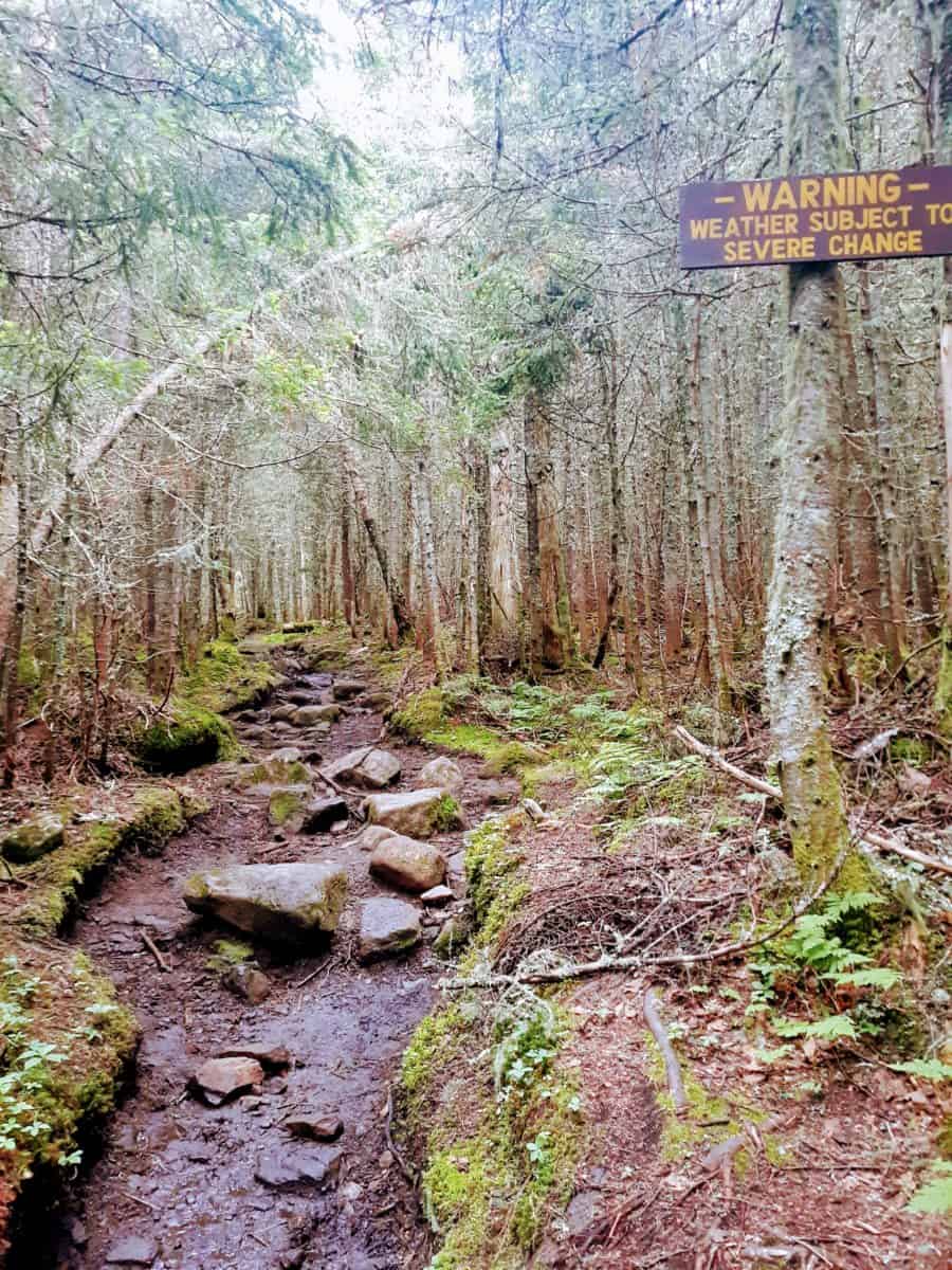 Hiking Mount Marcy New York: The Highest Point in New York