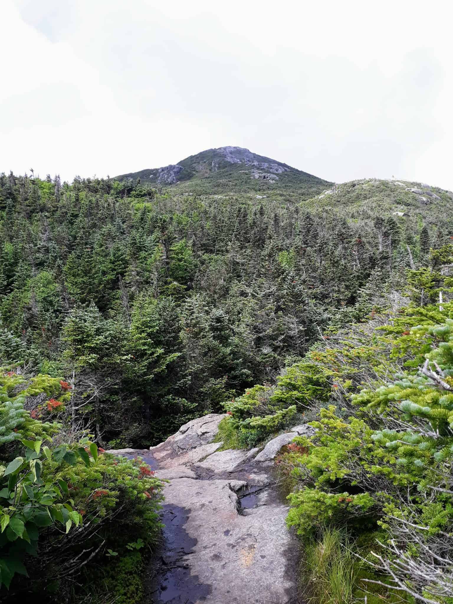 Hiking Mount Marcy New York: The Highest Point in New York