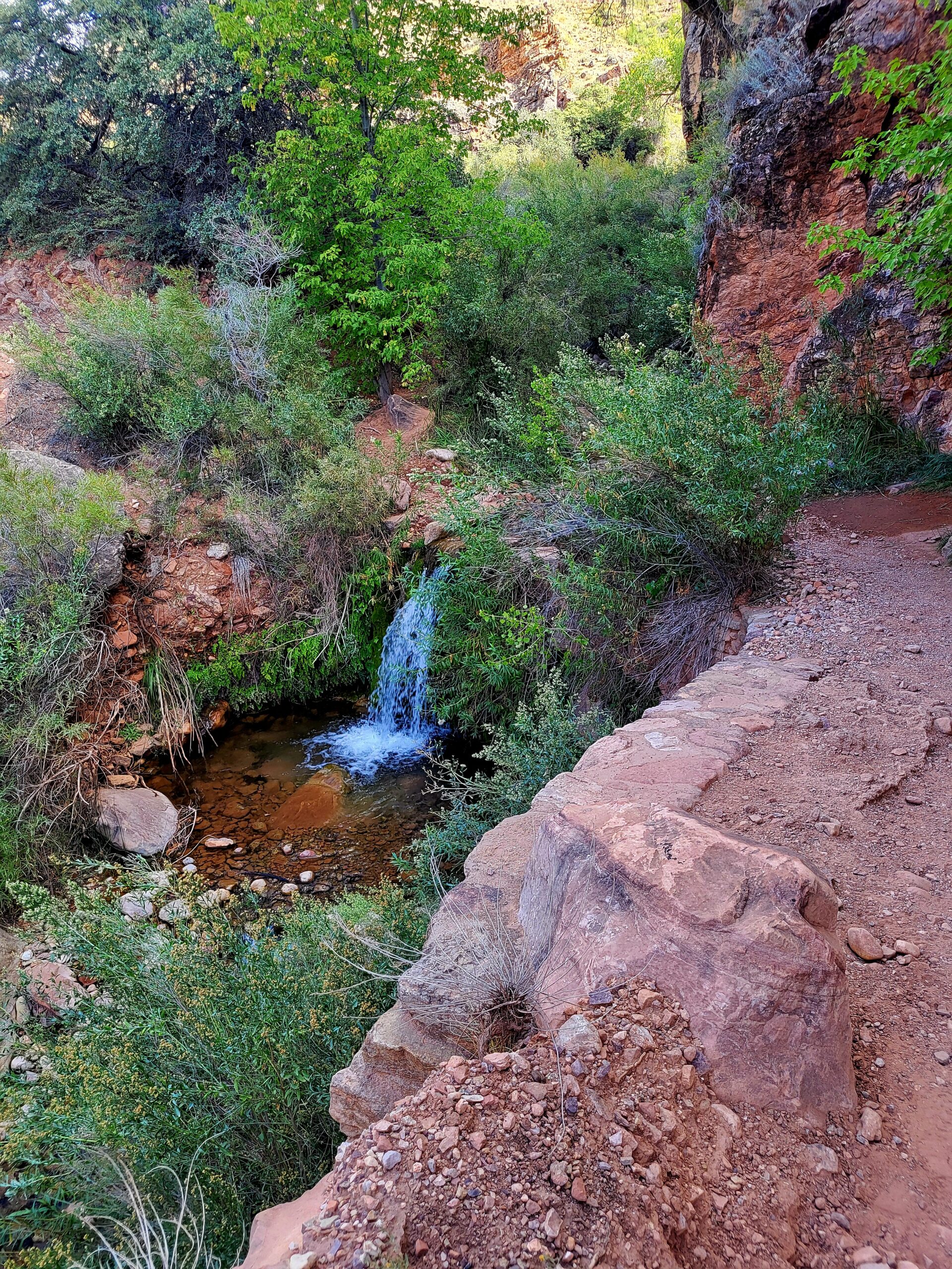 8 Things That Surprised Me the Most About the Rim to Rim Hike