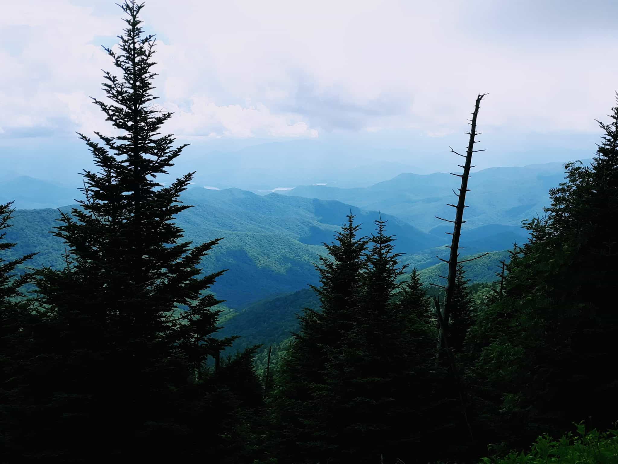 Clingmans Dome Hike: The Highest Point in the Smoky Mountains