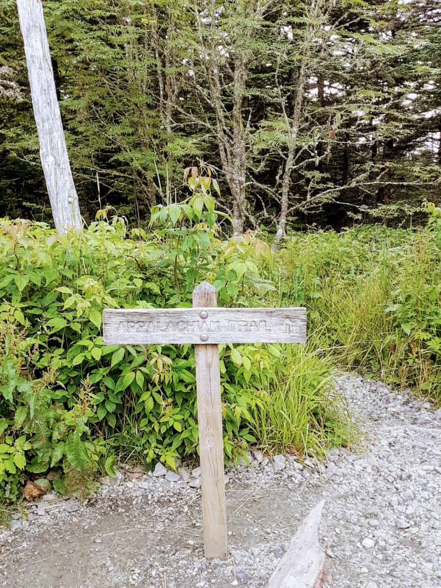Clingmans Dome Hike: The Highest Point in the Smoky Mountains