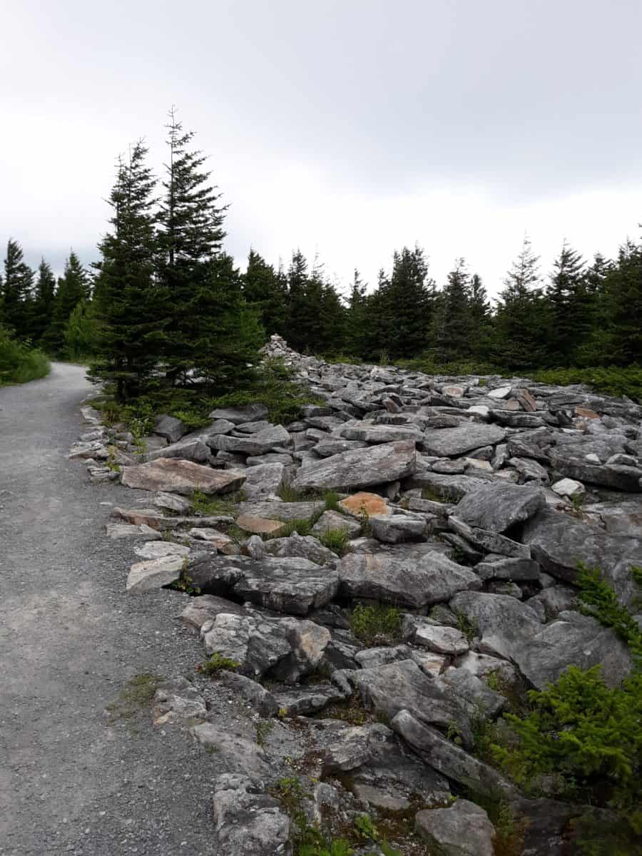 The Spruce Knob Hike: Highest Point in West Virginia