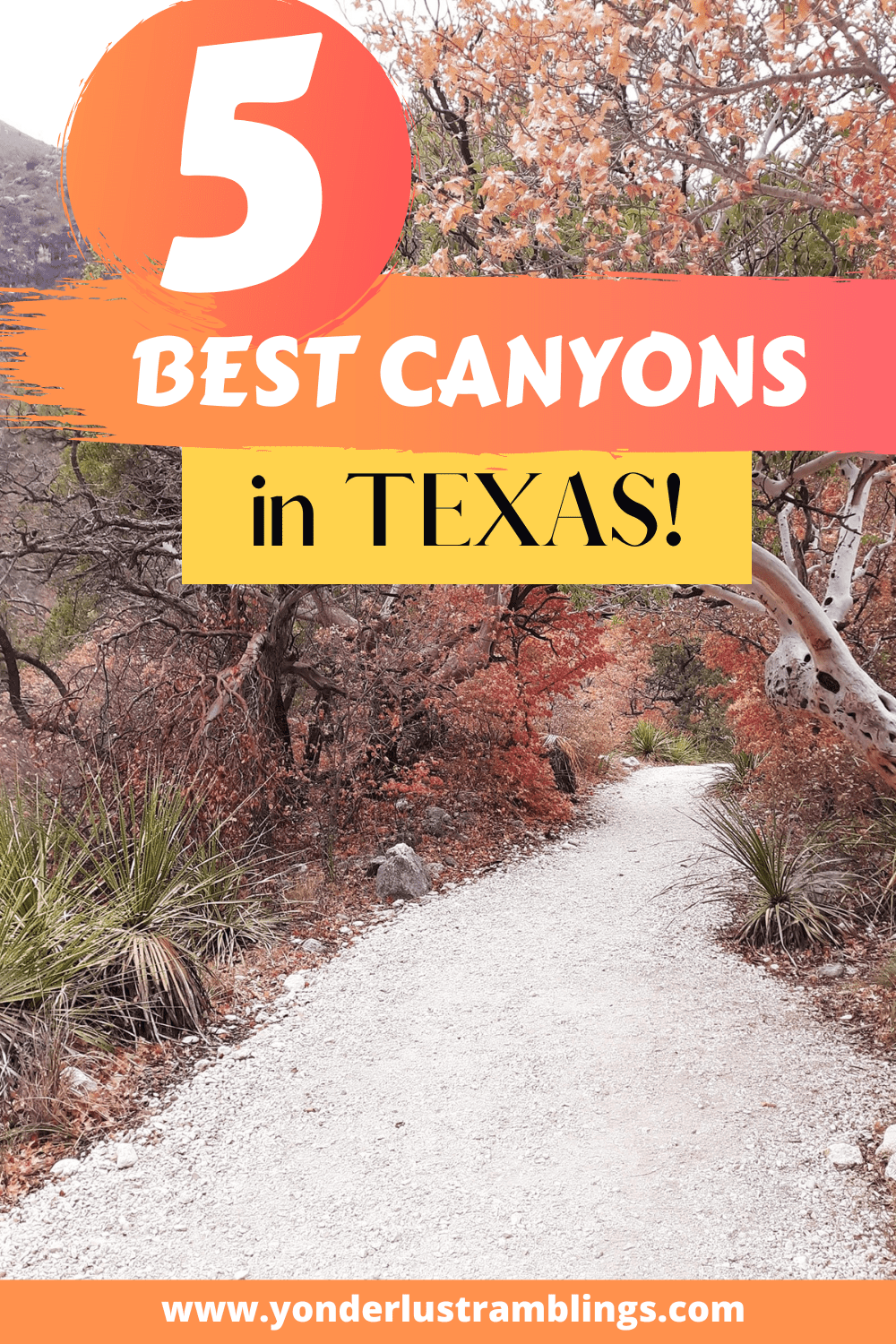 The Top 5 Best Canyons in Texas You Have to See in Person