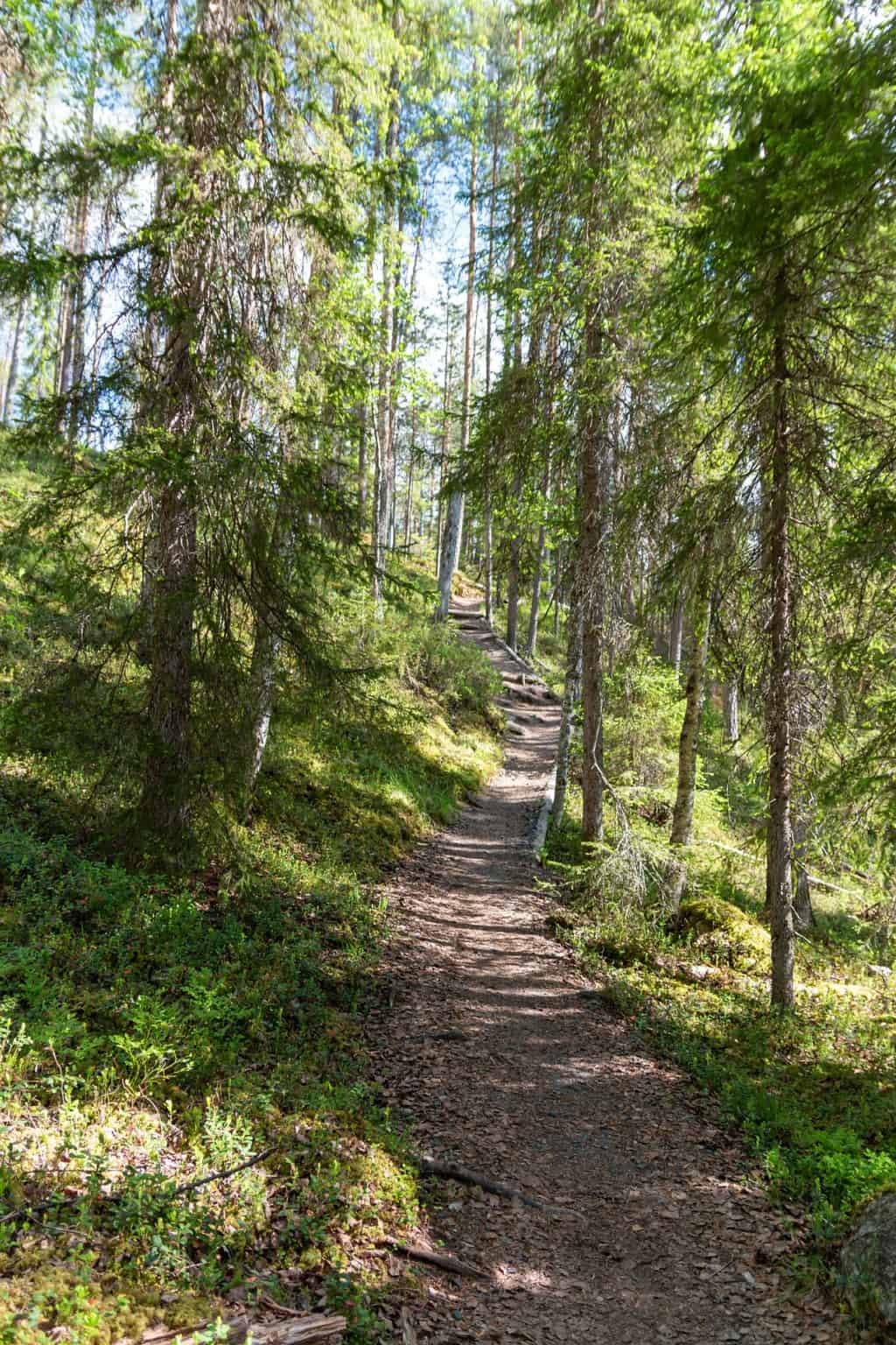 Intro to Trail Running: A Complete Beginner's Guide