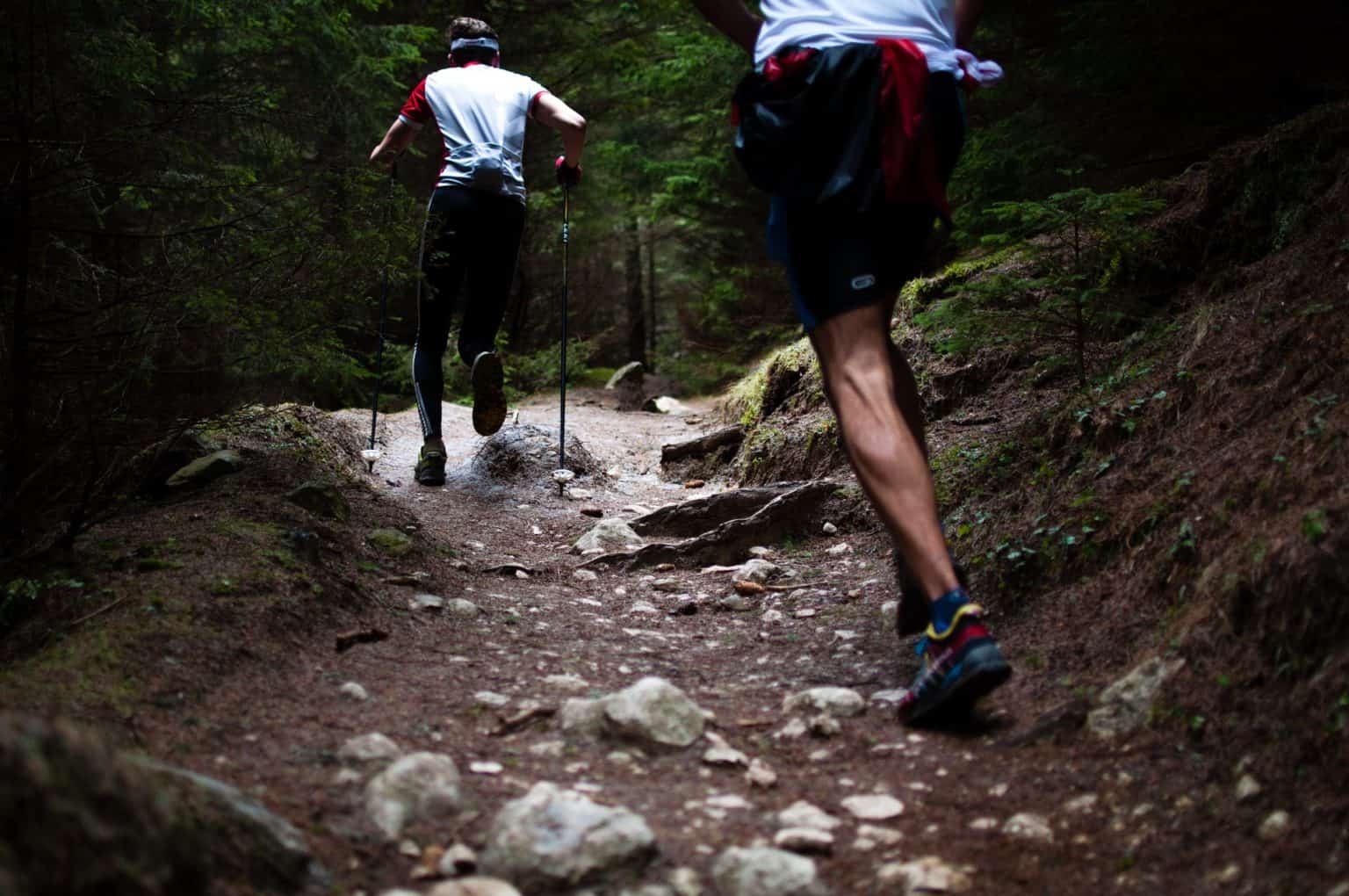12 Step Long Distance Trail Running Training Plan for Beginners