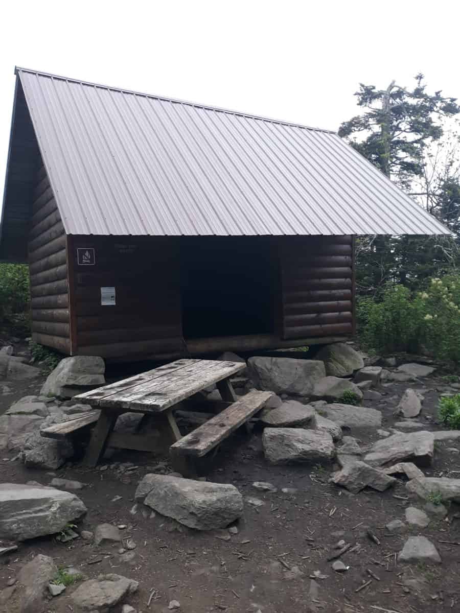 Hiking Mt Rogers Virginia: the Highest Point in Virginia