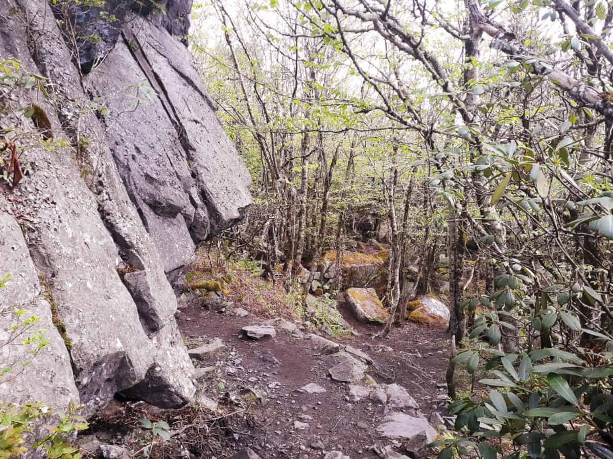 Hiking Mt Rogers Virginia: the Highest Point in Virginia