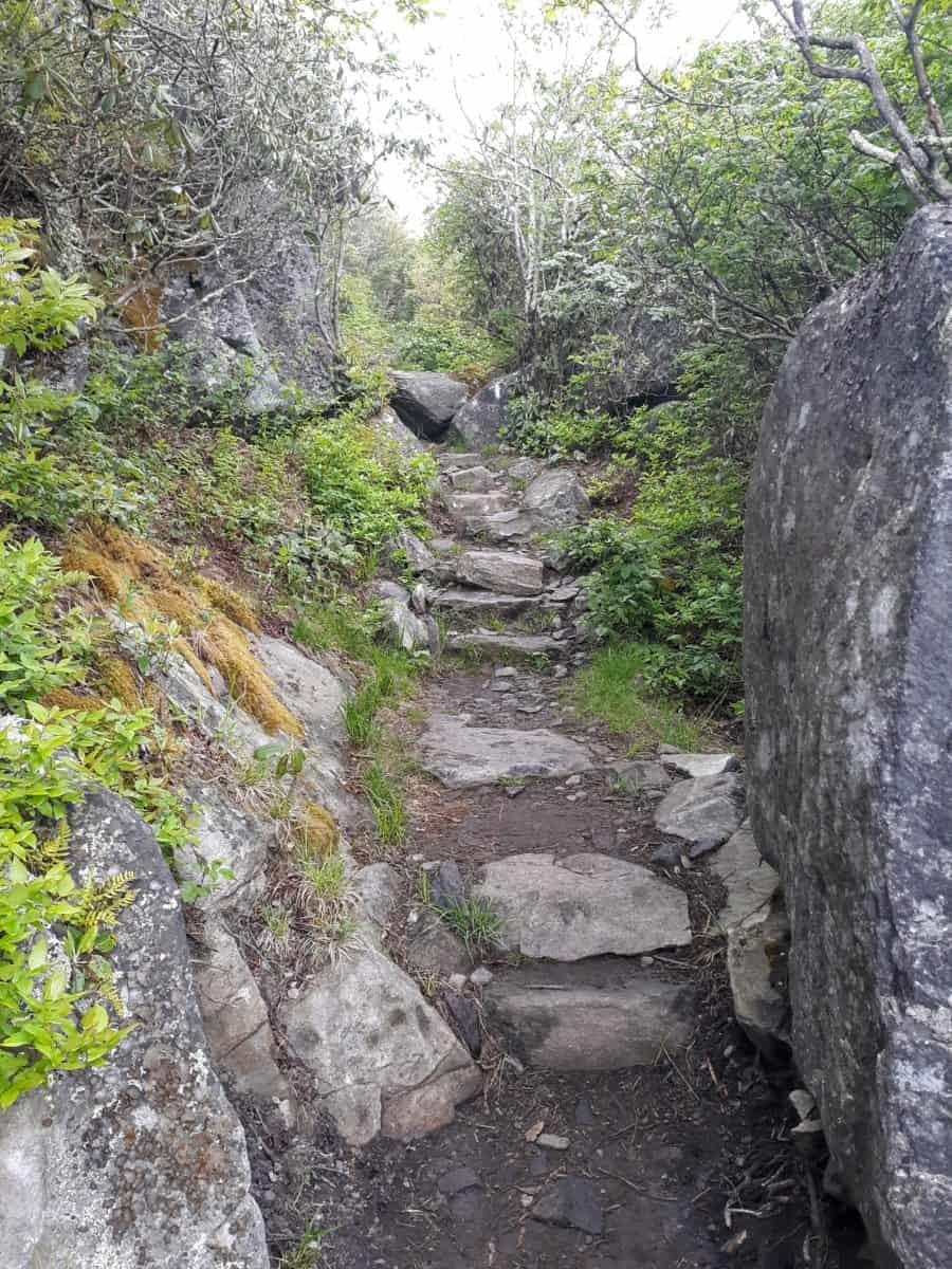 Hiking Mt Rogers Virginia: the Highest Point in Virginia