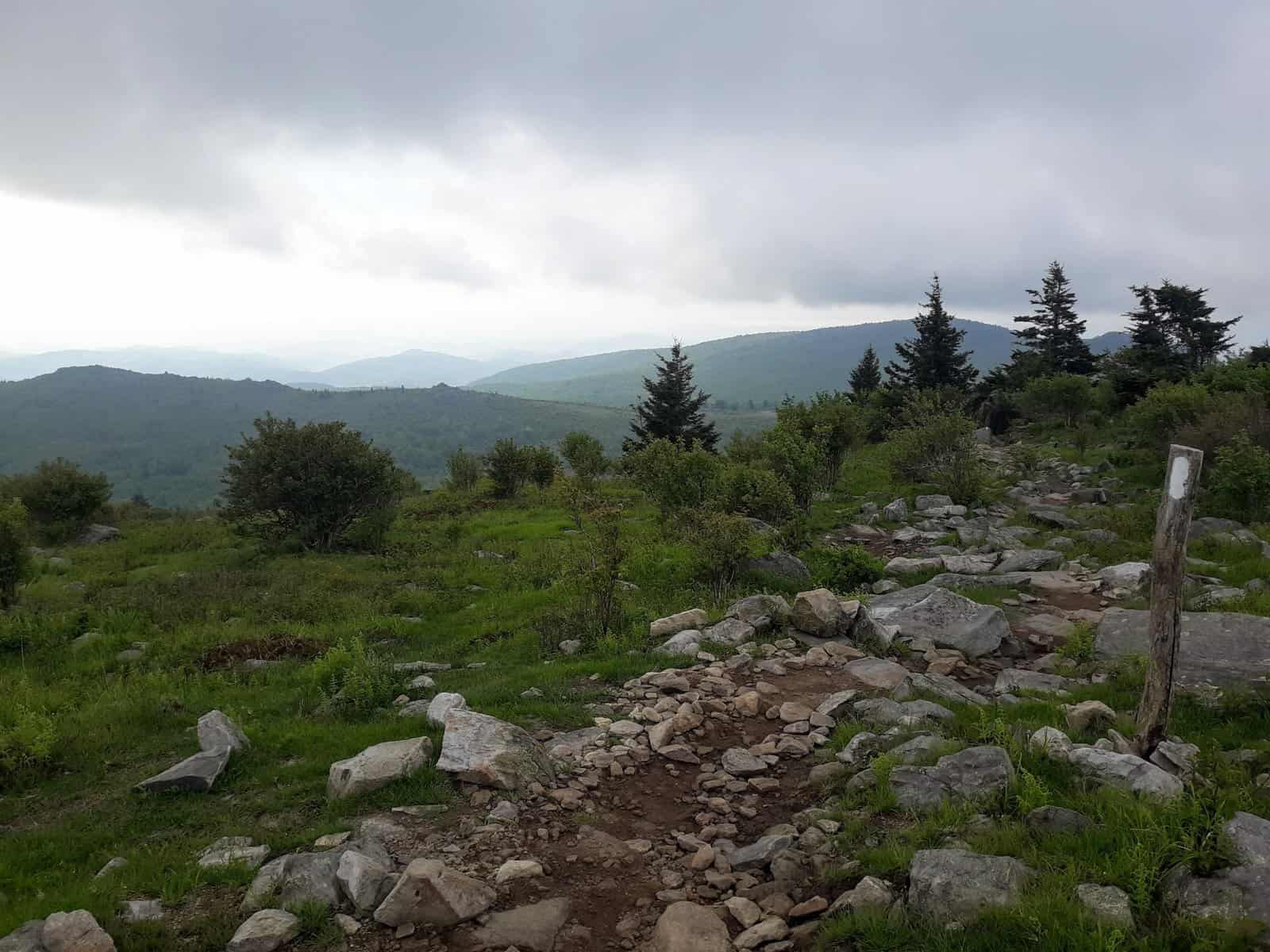 Hiking Mt Rogers Virginia: the Highest Point in Virginia