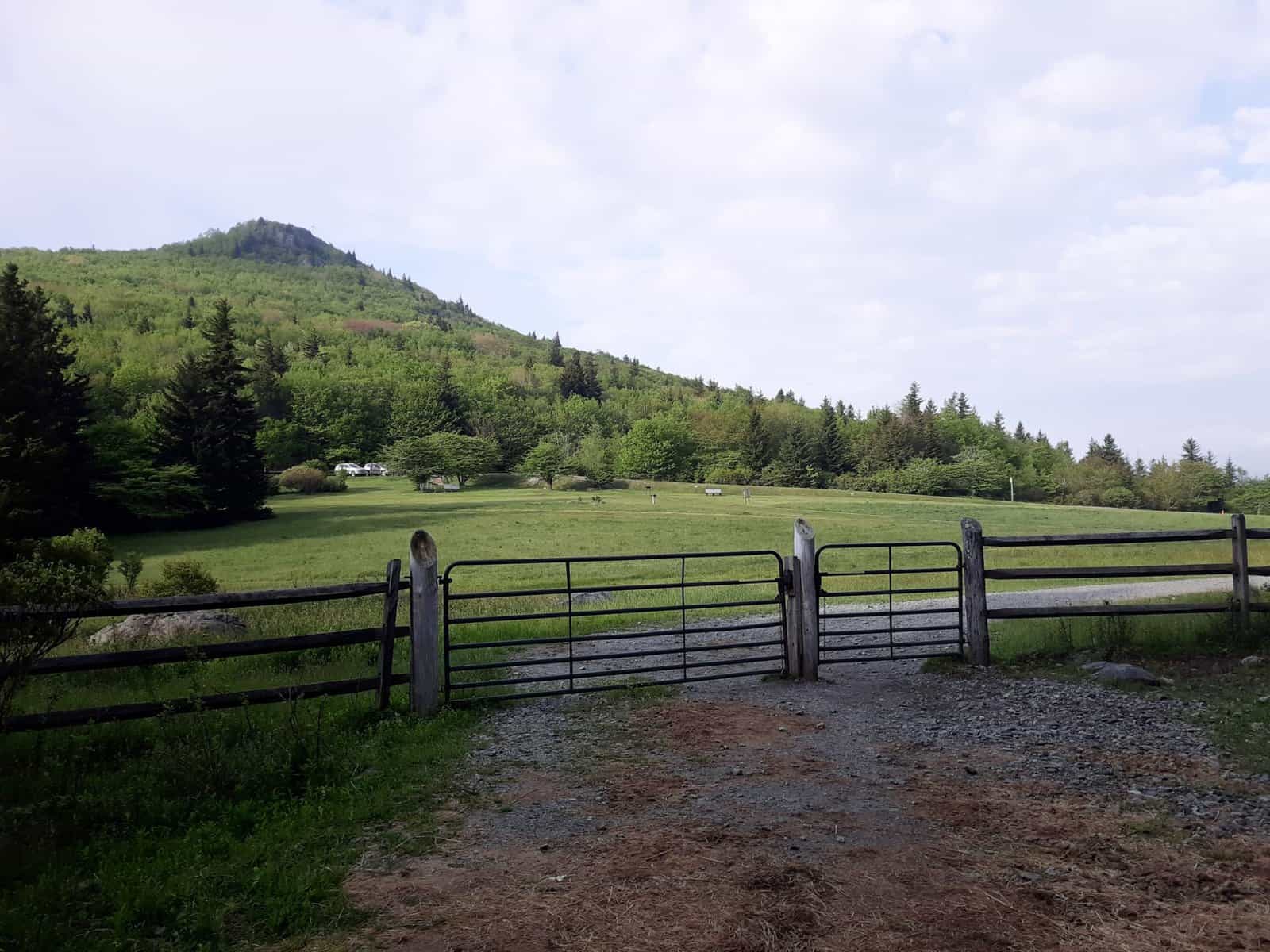 Hiking Mt Rogers Virginia: the Highest Point in Virginia