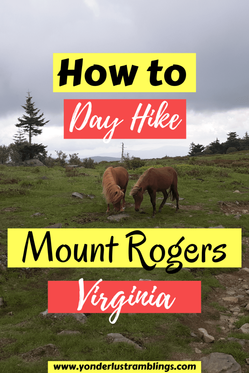 Hiking Mt Rogers Virginia: the Highest Point in Virginia