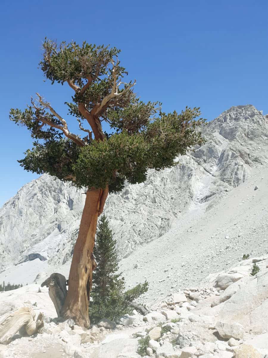 Guide to Climbing Mount Whitney in One Day