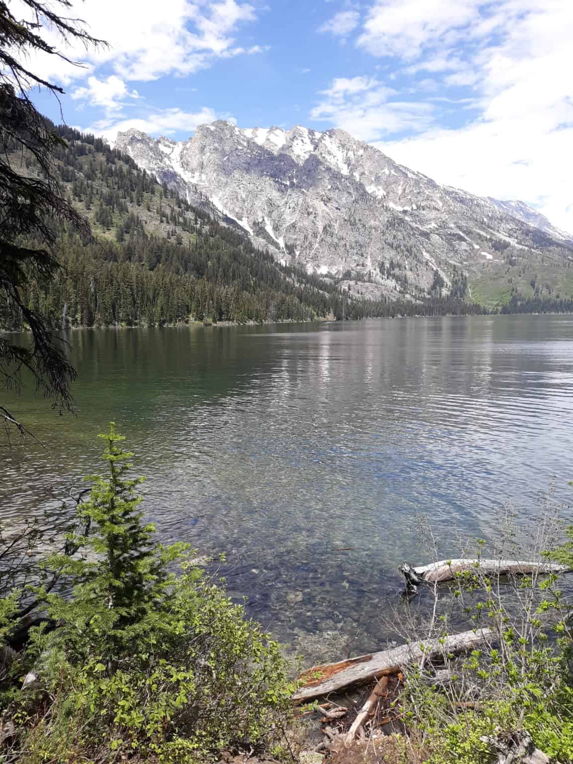 Complete Guide to Jenny Lake in Grand Teton National Park - Yonderlust ...