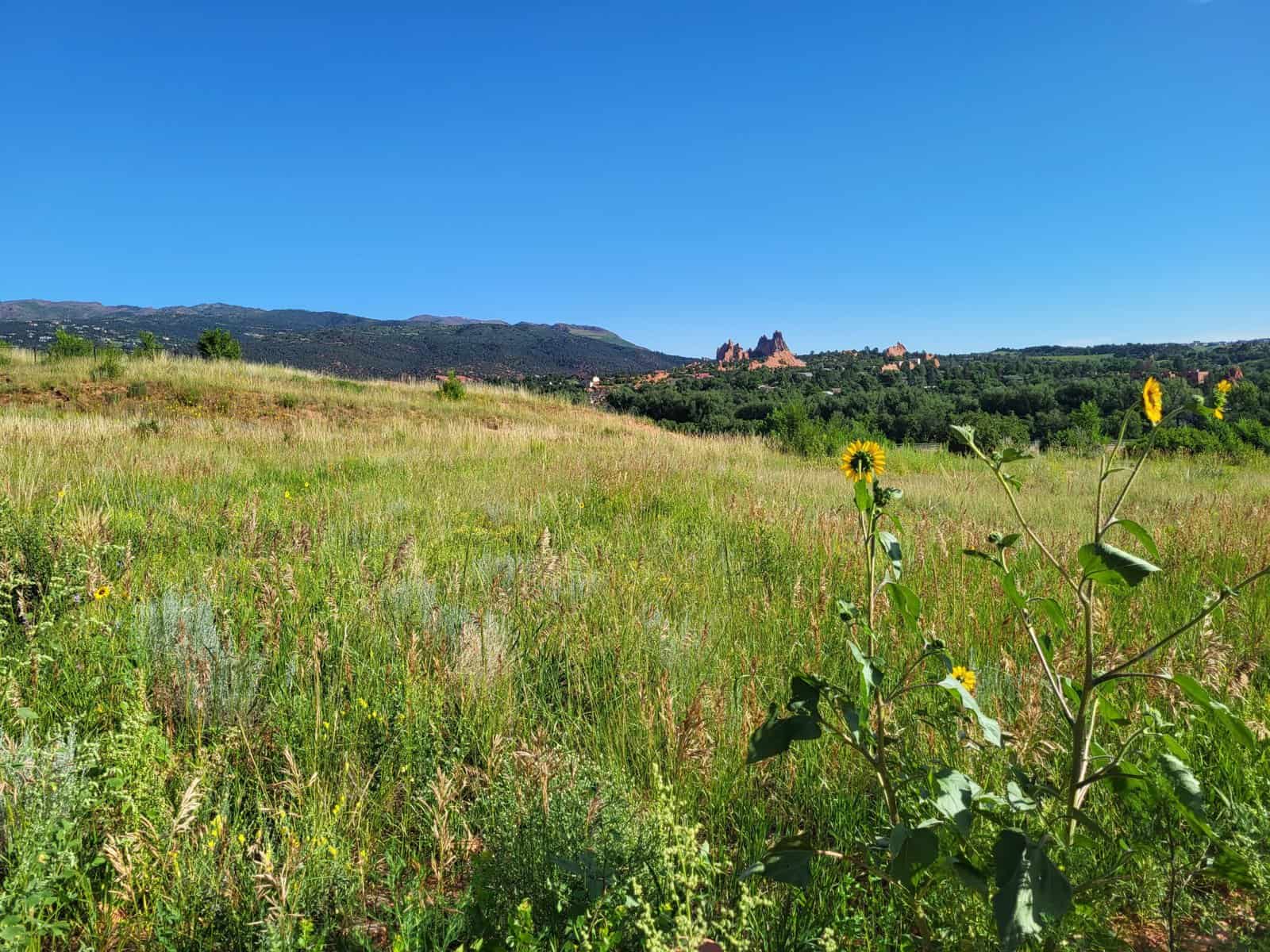 Guide to Hiking Red Rock Canyon Open Space in Colorado Springs