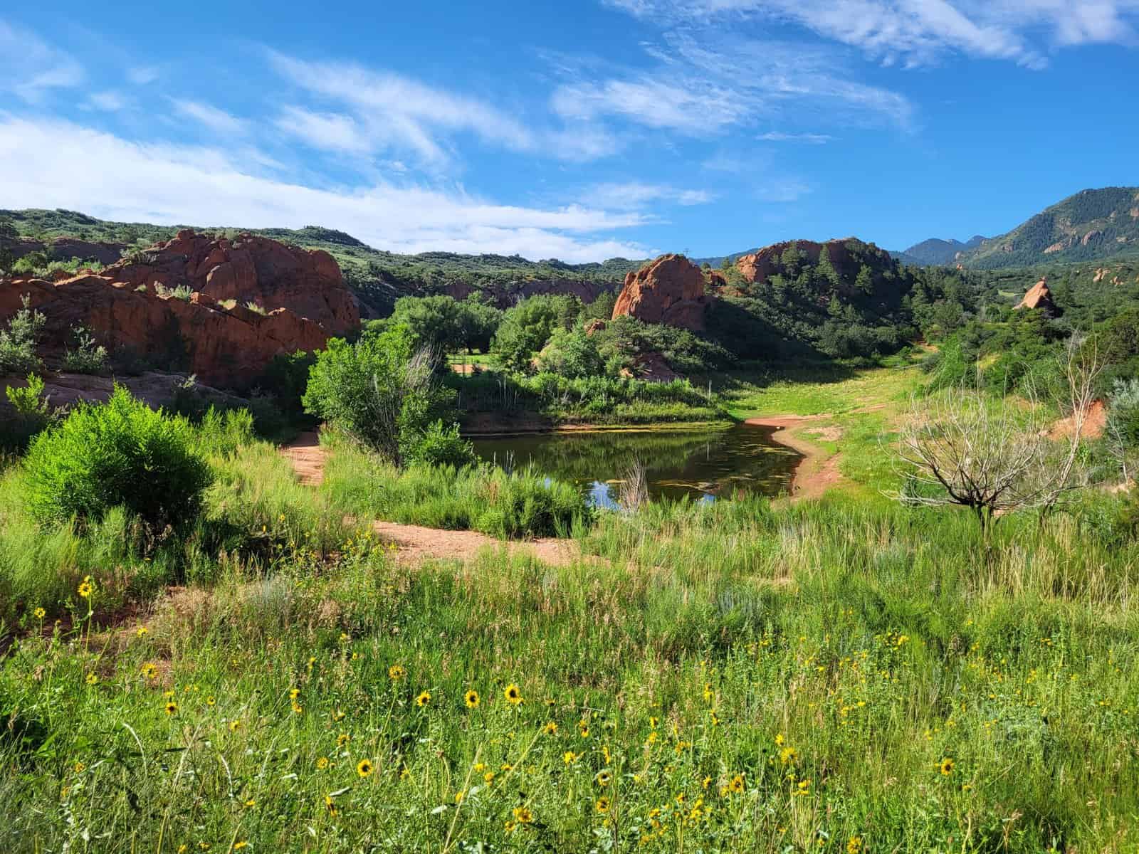 Guide to Hiking Red Rock Canyon Open Space in Colorado Springs
