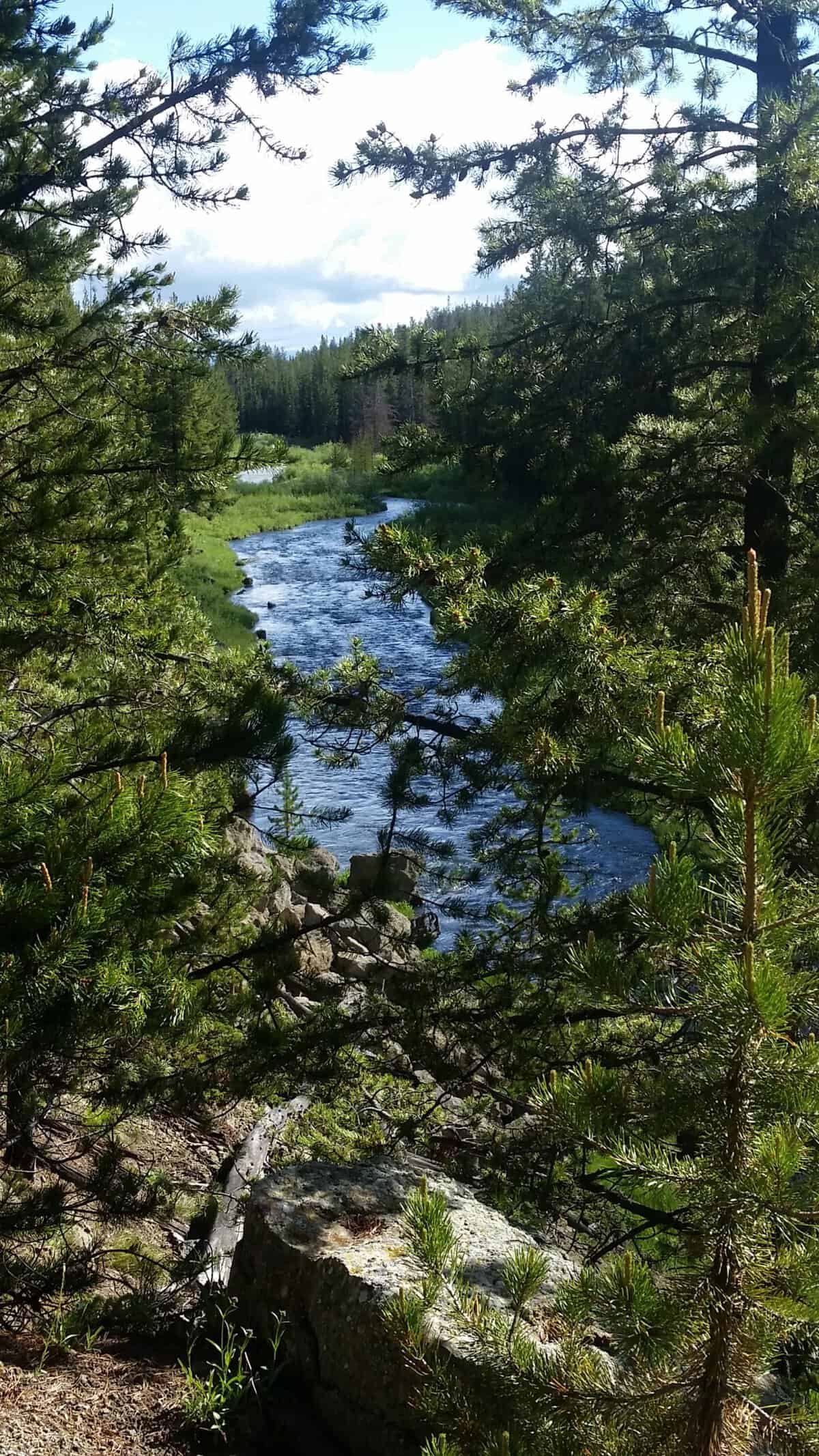 Guide to the Yellowstone Half Marathon and 5K - Yonderlust Ramblings