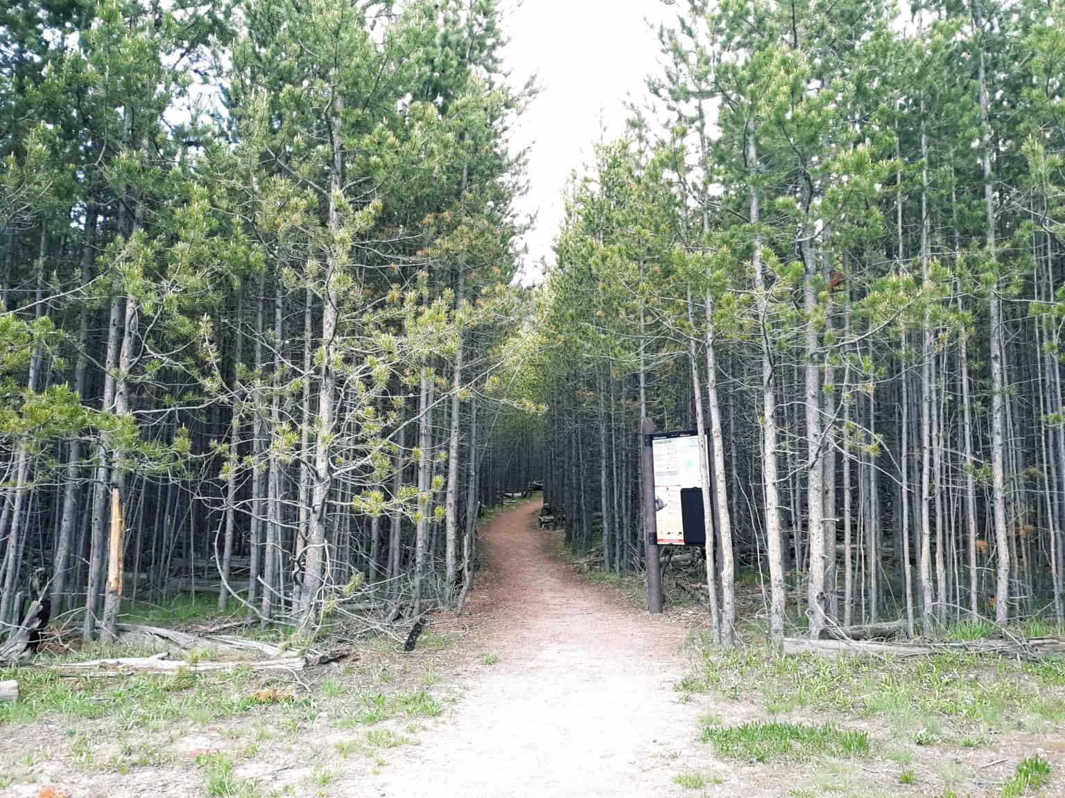 Top 15 Outdoor Things to Do in Victor Idaho - Yonderlust Ramblings