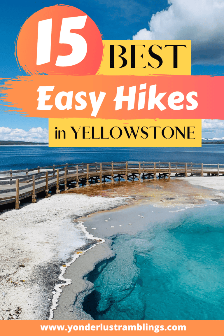The 15 Best Easy Hikes in Yellowstone National Park