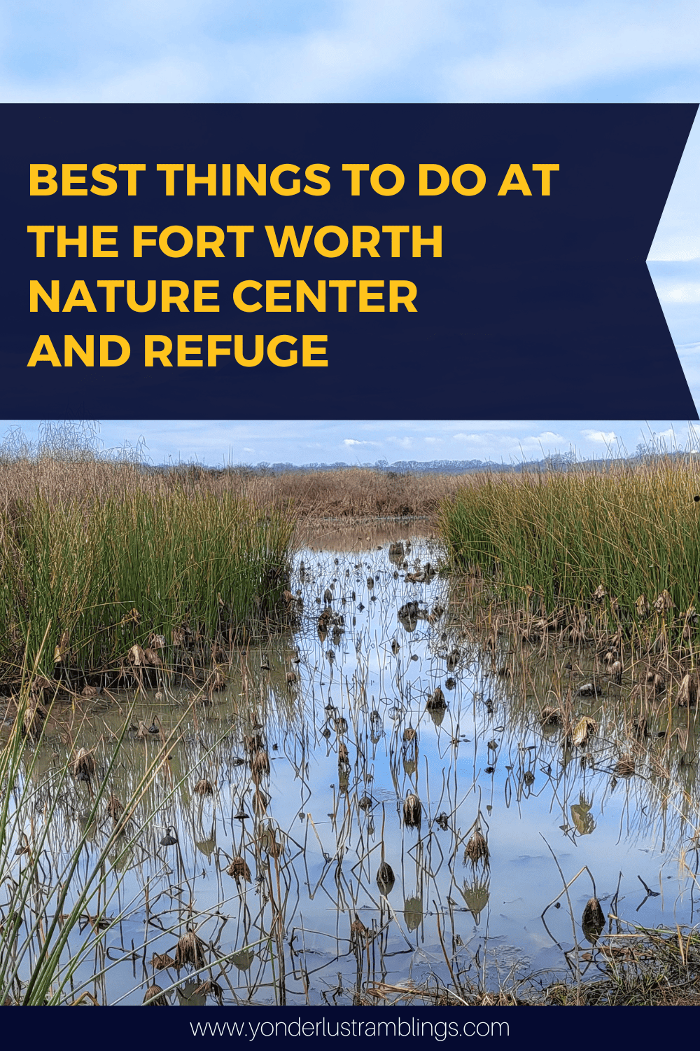 Top Things to Do at The Fort Worth Nature Center and Refuge