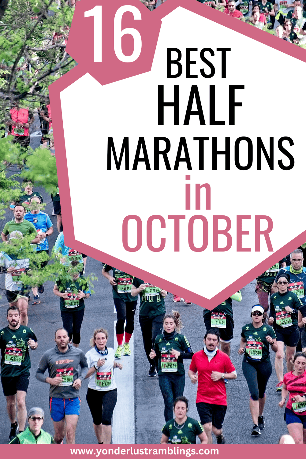 The 16 Best Half Marathons in October in the US