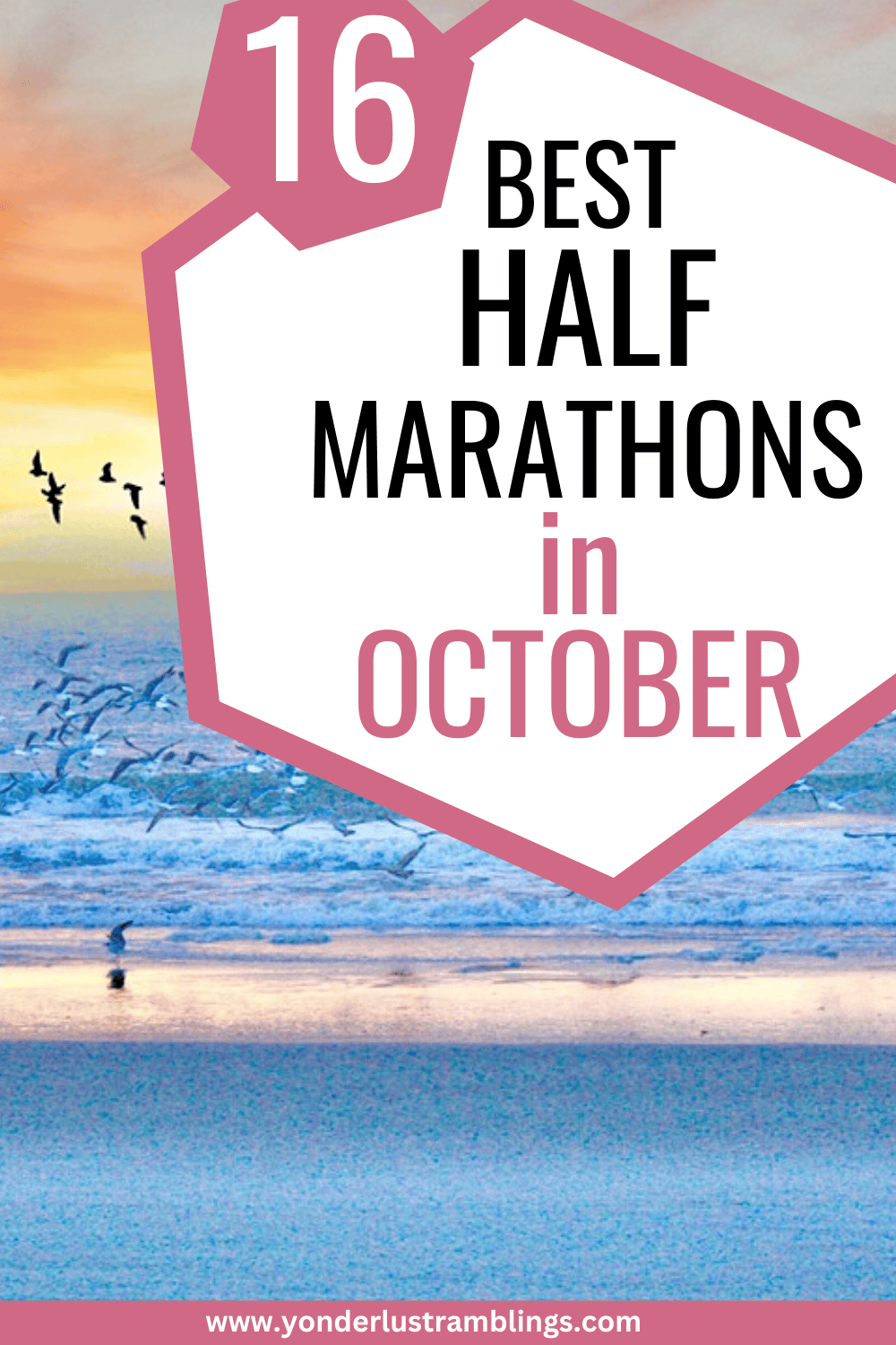 The 16 Best Half Marathons in October in the US
