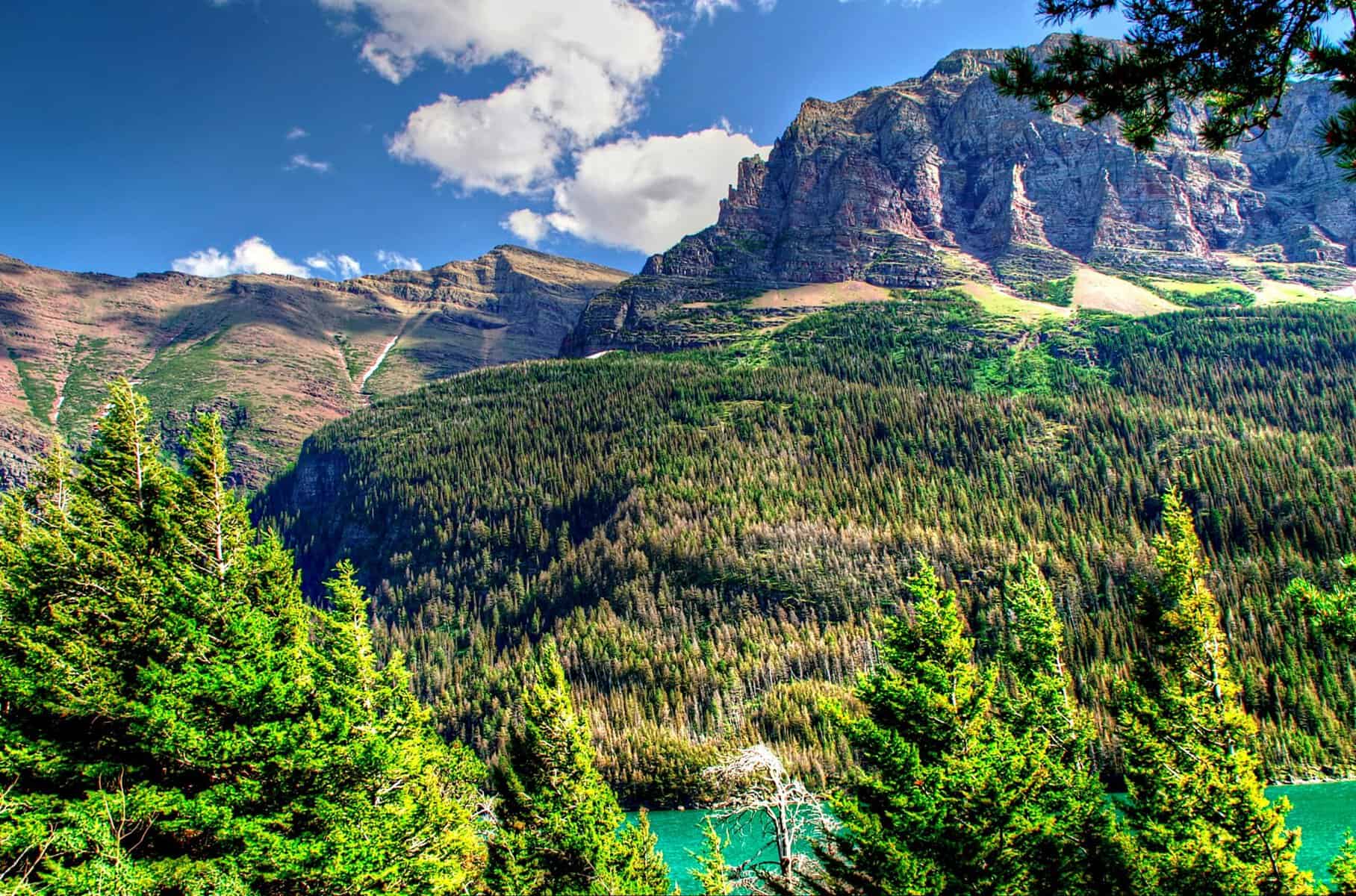 15 Best Half Marathons in June in the US